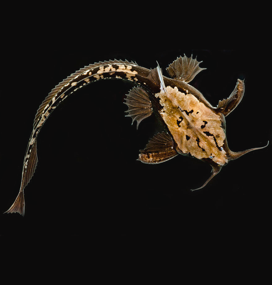 Bay Aquatics | Tauranga | New Zealand