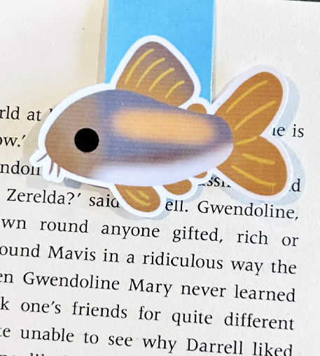 Golden Laser Cory Magnetic Bookmark | Bay Aquatics | Tauranga | New Zealand