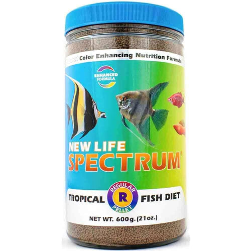 New Life Spectrum Tropical Fish Regular | Bay Aquatics | Tauranga | New ...