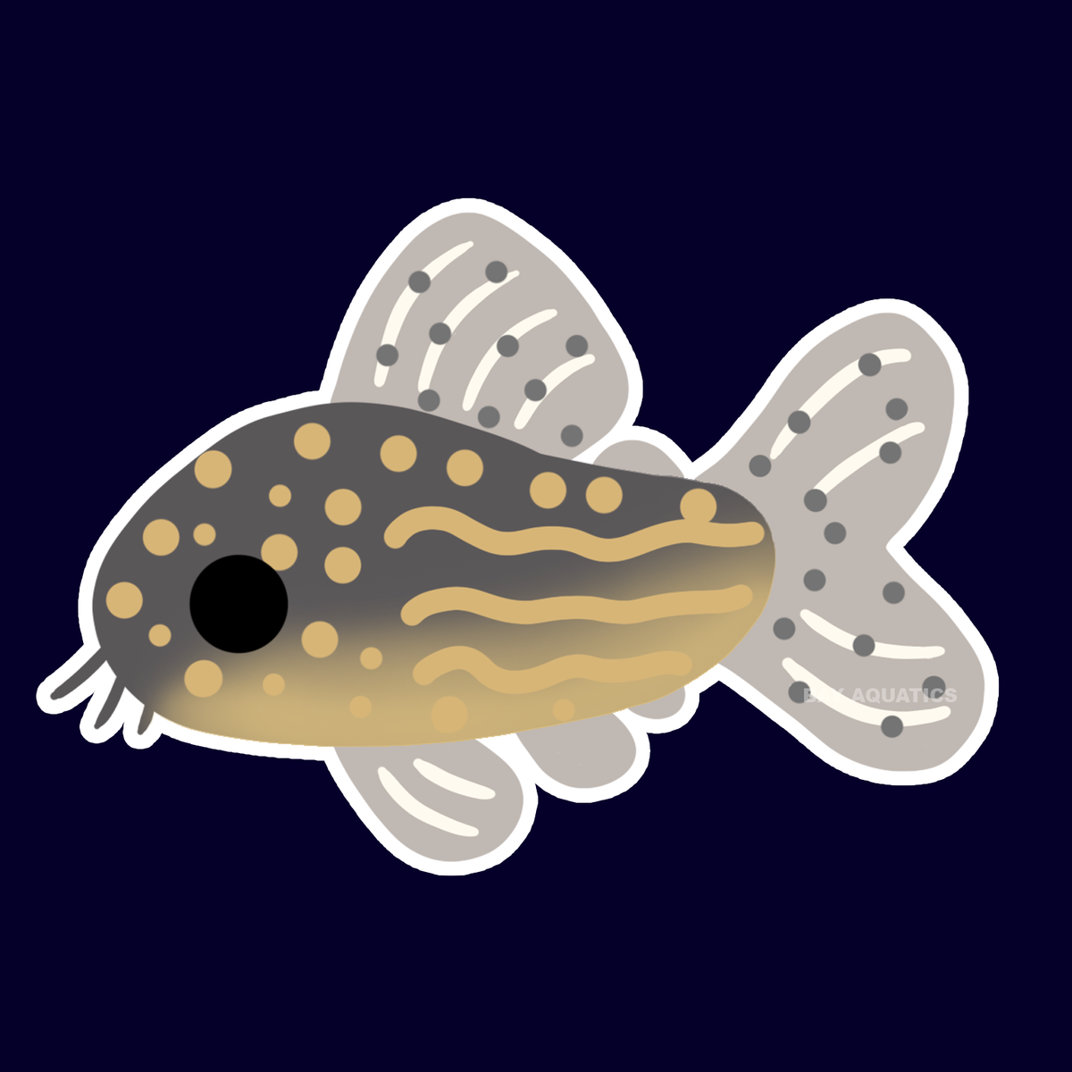 Sterbai Cory Sticker | Bay Aquatics | Tauranga | New Zealand