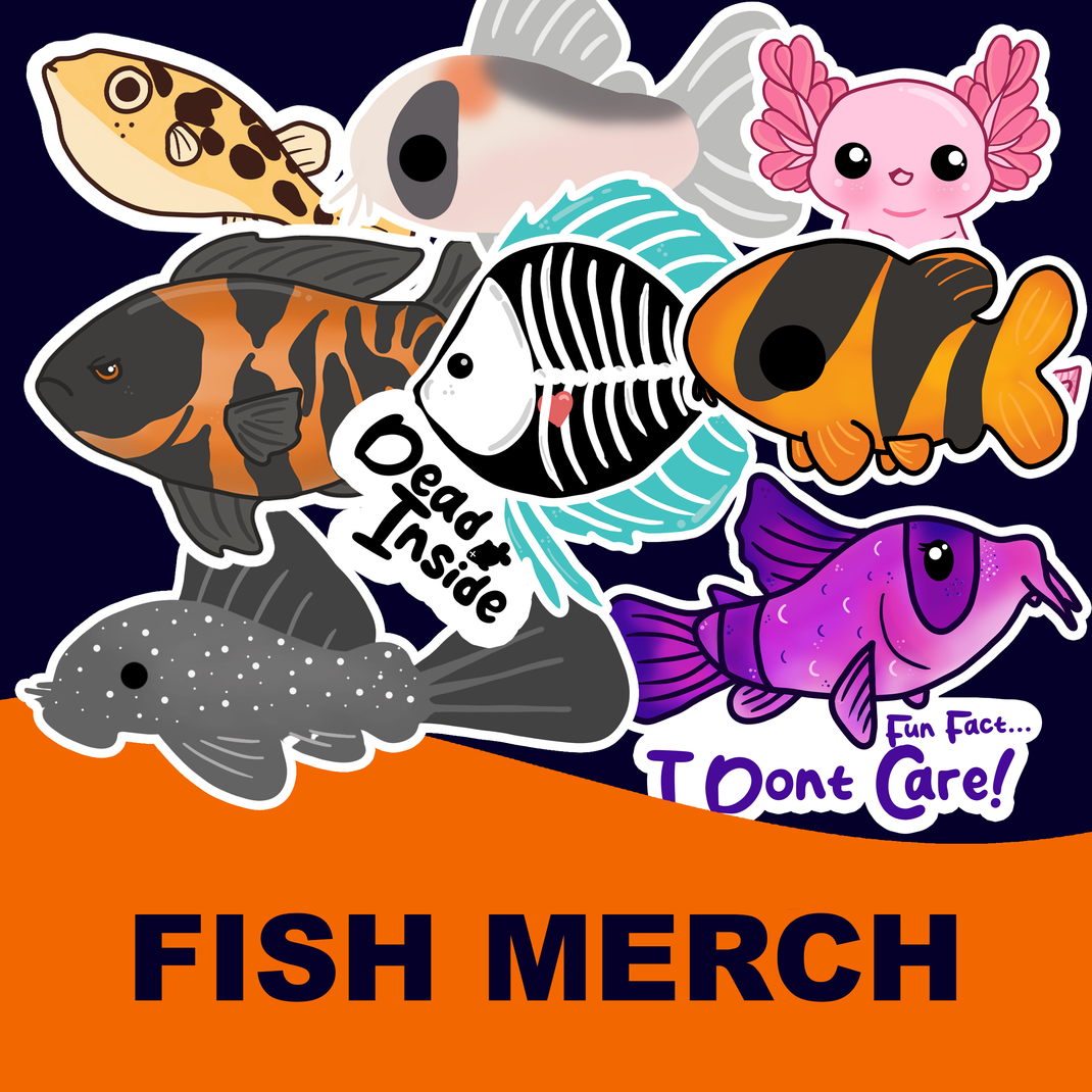 Bay Aquatics | Tauranga | New Zealand